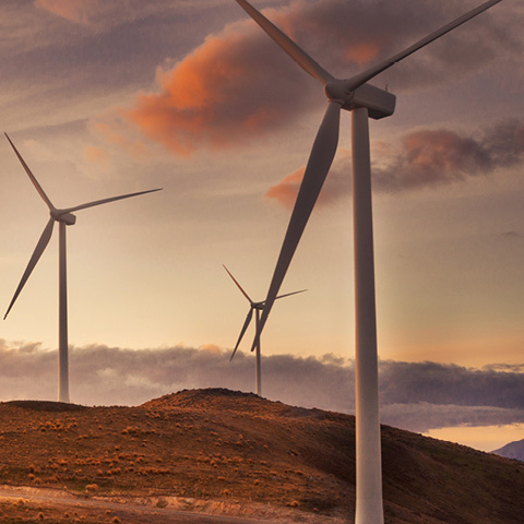 Captive Power Projects: Rising Demand and Opportunities